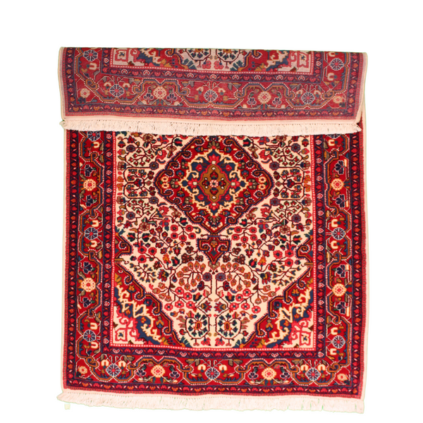 Jozan Rug | Amir Art Collection